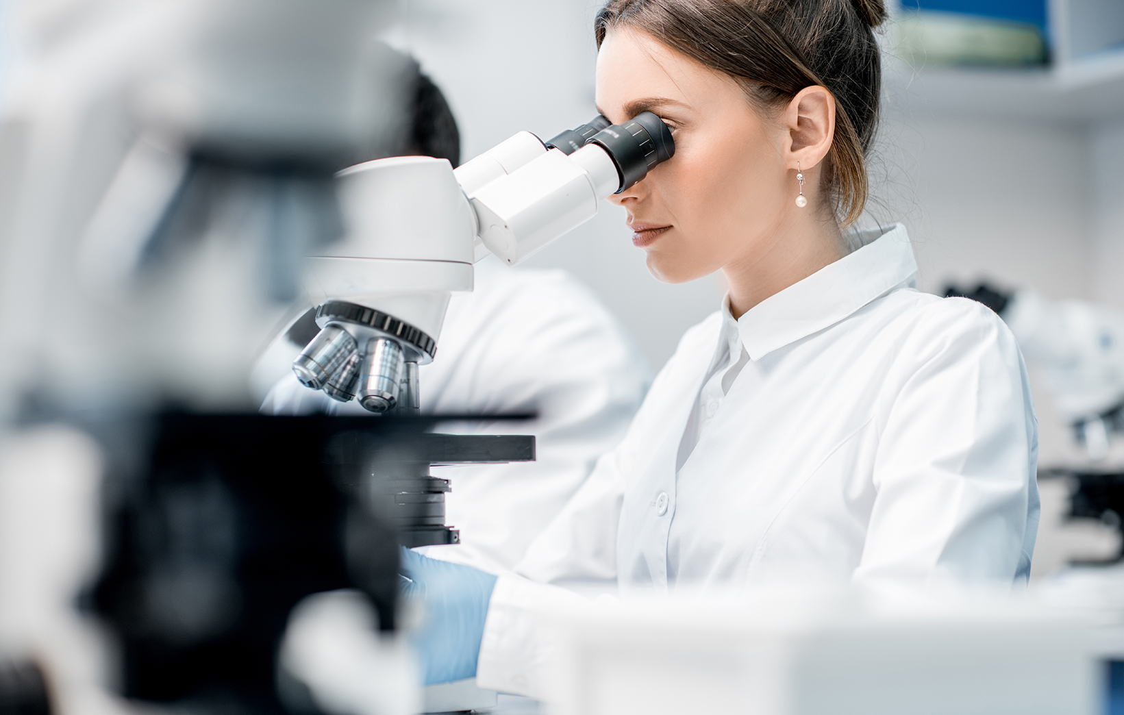 Internships and Theses – Institute of Molecular Genetics of the Czech ...