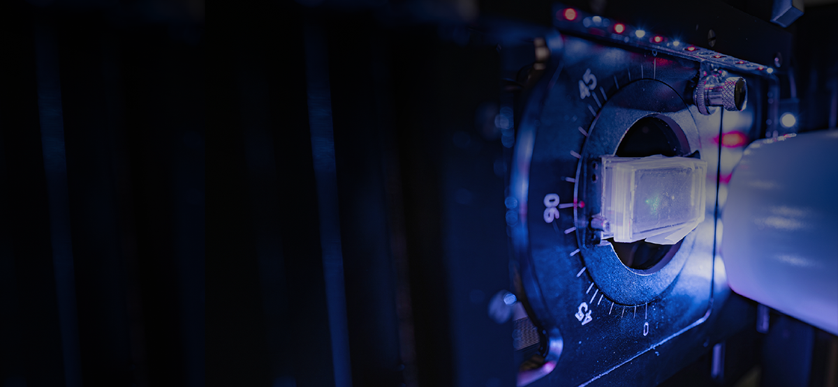 Institute of Molecular Genetics of the Czech Academy of Sciences