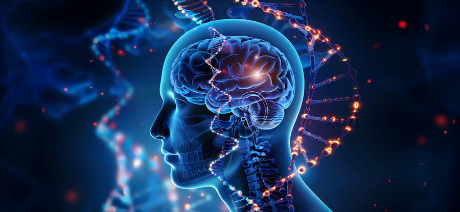 Institute of Molecular Genetics of the Czech Academy of Sciences